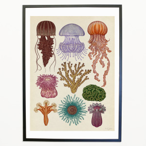 Katie Scott – Official shop of illustrator Katie Scott