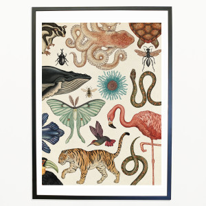 Katie Scott – Page 3 – Official shop of illustrator Katie Scott