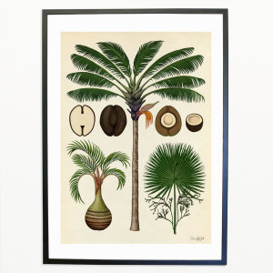 Katie Scott – Page 3 – Official shop of illustrator Katie Scott
