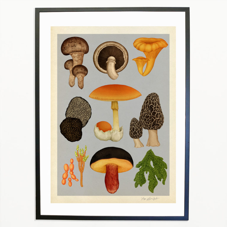 Katie Scott – Official shop of illustrator Katie Scott