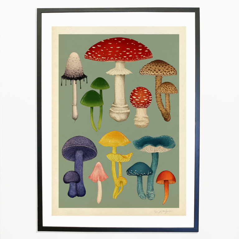 Katie Scott – Official shop of illustrator Katie Scott