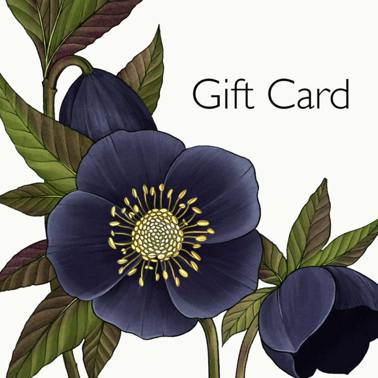 Katie Scott – Official shop of illustrator Katie Scott